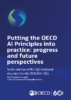 Putting the OECD AI Principles into practice: progress and future ...