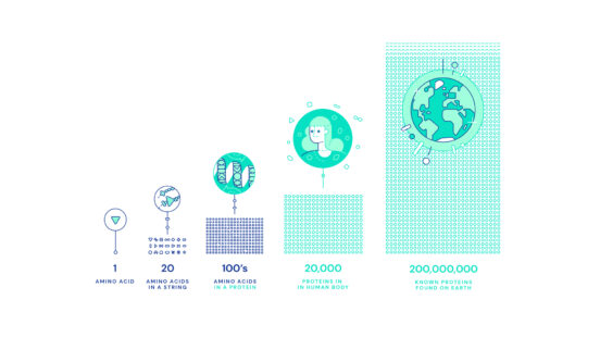 AlphaFold: How AI can accelerate scientific discovery - OECD.AI AlphaFold: How AI can accelerate scientific discovery - OECD.AI