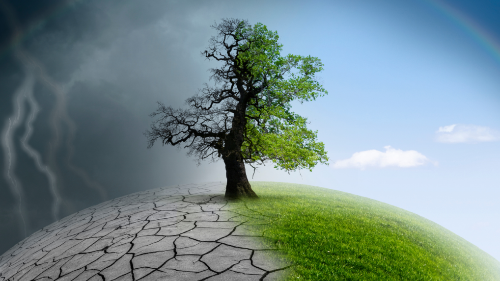 We need to use AI to fight climate change - OECD.AI