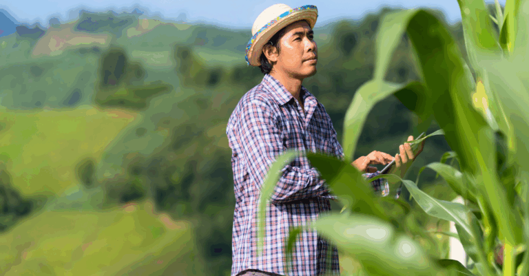 How to govern AI in agriculture responsibly: risks, tools and solutions ...