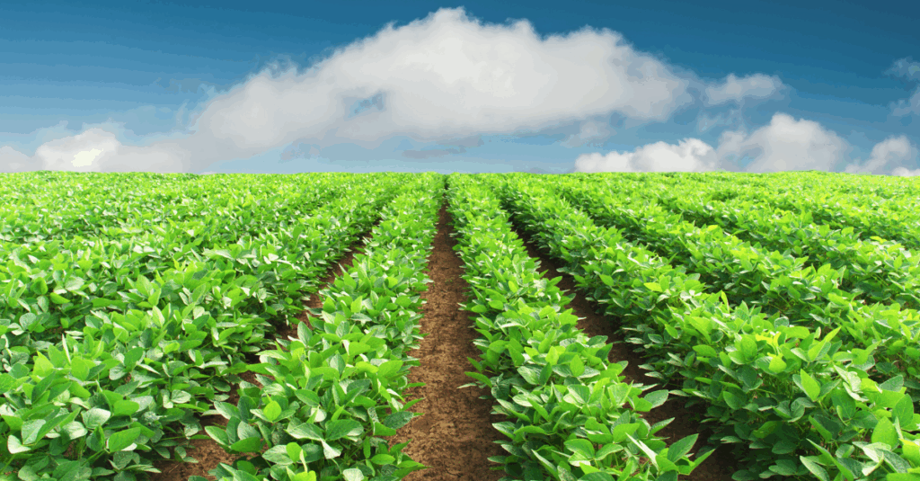 AI for inclusive and resilient agri-food systems: Potential ways ...